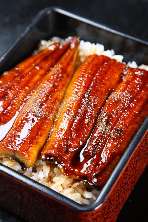 Anguille Grillée Sur Le Riz, Unaju, Cuisine Japonaise D'unagi Photo ...