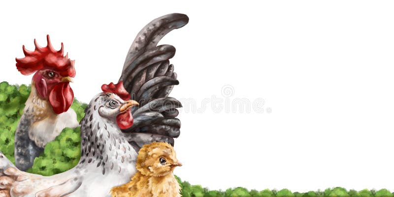Angular Horizontal Border with a Composition of Hen, Rooster and ...