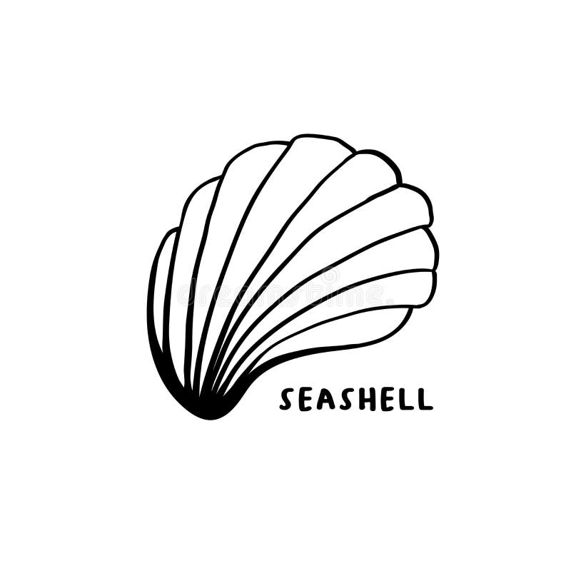 Murex Stock Illustrations – 387 Murex Stock Illustrations, Vectors ...