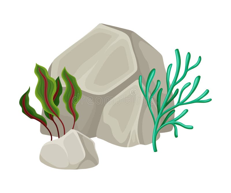 Angulated Sea Stone or Subsurface Rock with Seaweeds and Algae Vector ...