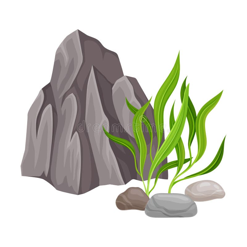 Sea Stone Stock Illustrations – 16,073 Sea Stone Stock Illustrations ...