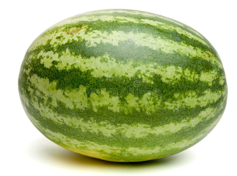 Anguria immagine stock. Immagine di verde, saporito, raccolta - 440539