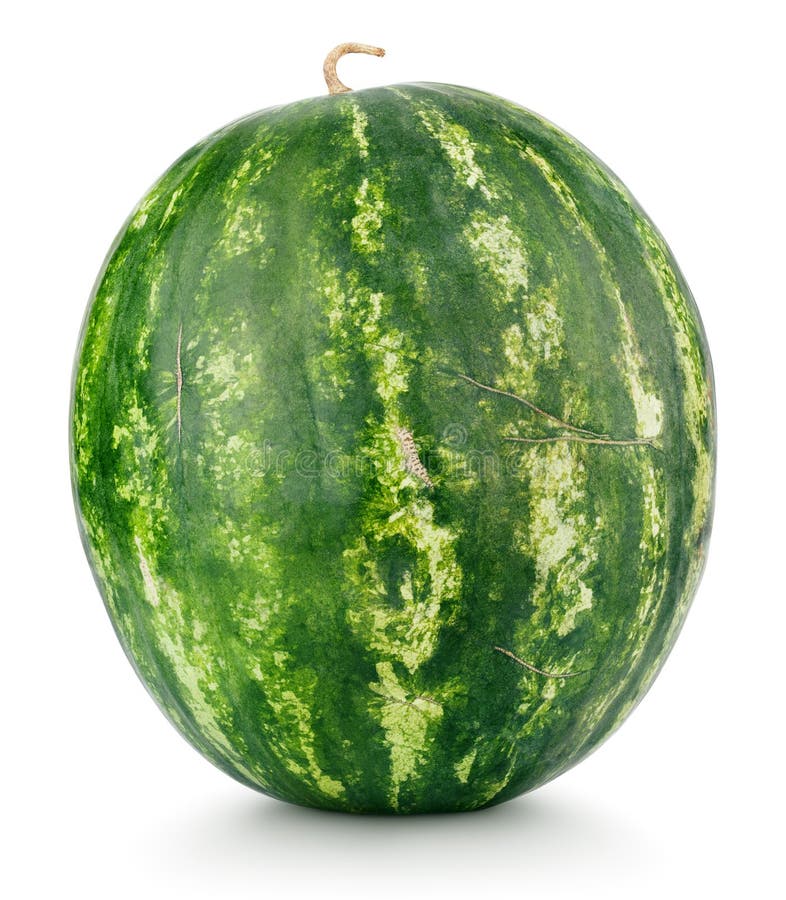 Anguria isolata su bianco immagine stock. Immagine di alimento - 117310523