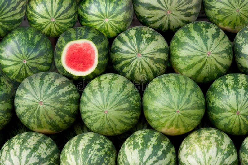 Anguria Rossa in Esposizione Fotografia Stock - Immagine di dieta ...