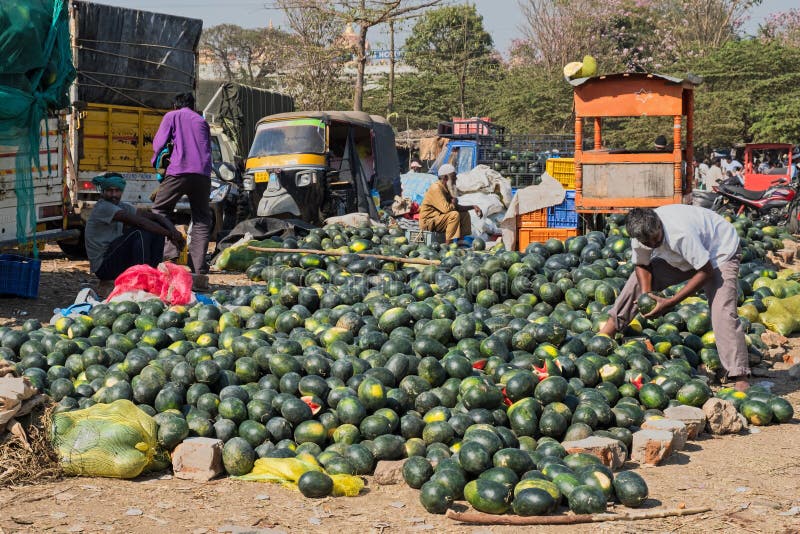 Il venditore delle angurie immagine editoriale. Immagine di angurie ...