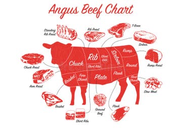Angus beef chart stock illustration. Illustration of roast - 159866949