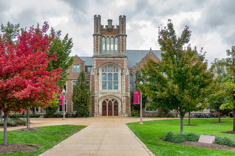 Busch Hallon Stock Photos - Free & Royalty-Free Stock Photos from ...