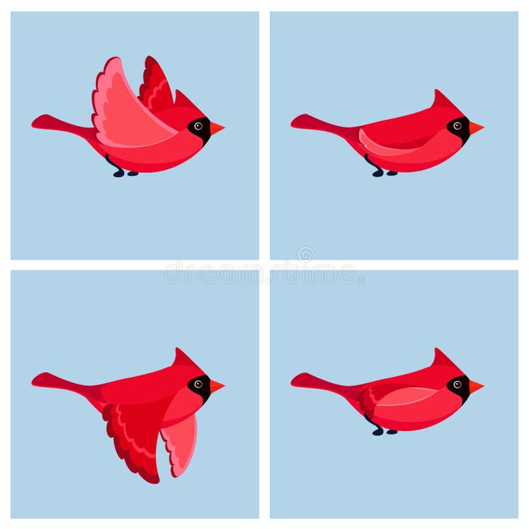 Funny Cardinal Bird Stock Illustrations – 731 Funny Cardinal Bird Stock ...