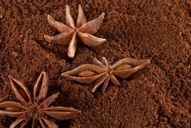 Anijsplant stock foto. Image of smaak, bruin, kruid, zaden - 13526064