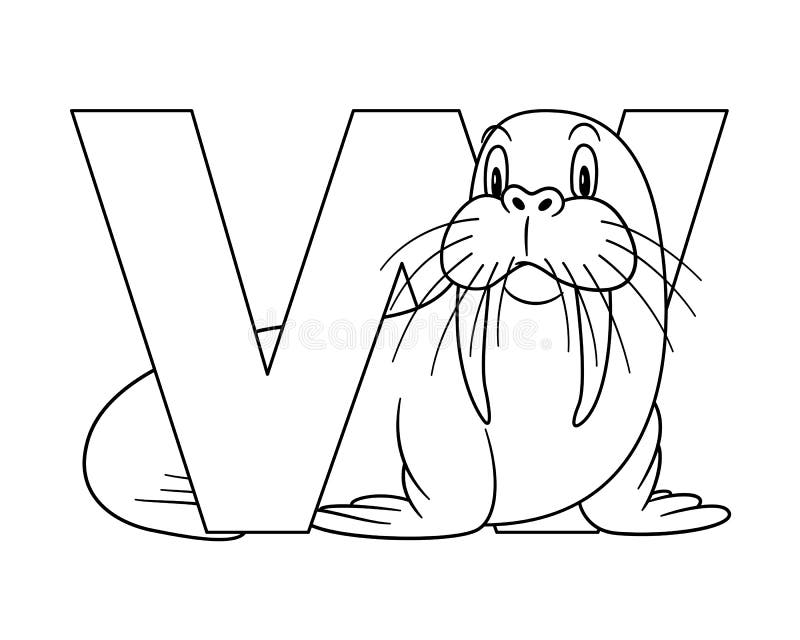Animal Alphabet. Capital Letter W, Walrus. Illustration. for Pre School ...
