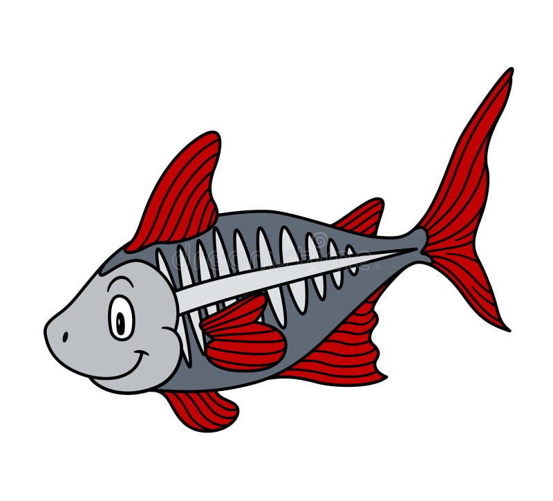 Cartoon Animal X-Ray Fish. Illustration. for Pre School Education ...