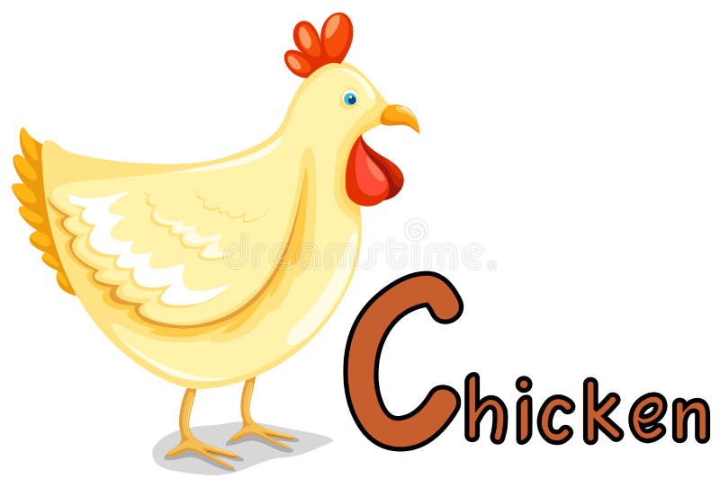 Animal Alphabet C for Chicken Stock Vector - Illustration of bird ...
