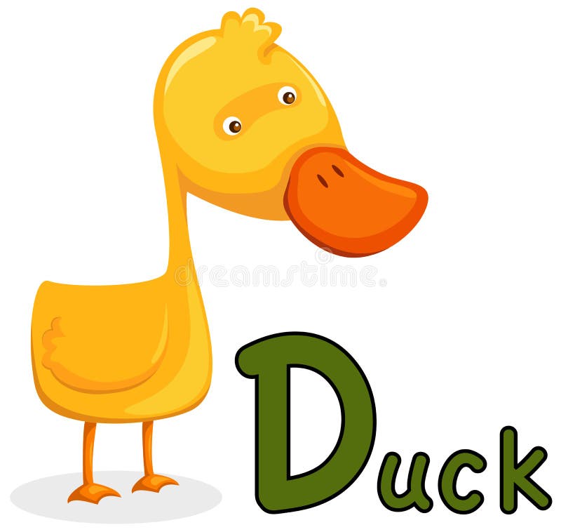 Animal alphabet D for duck stock vector. Illustration of cartoon - 13791550