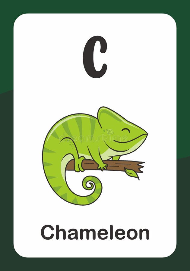 Animal Alphabet Flash Card - C for Chameleon Stock Vector ...