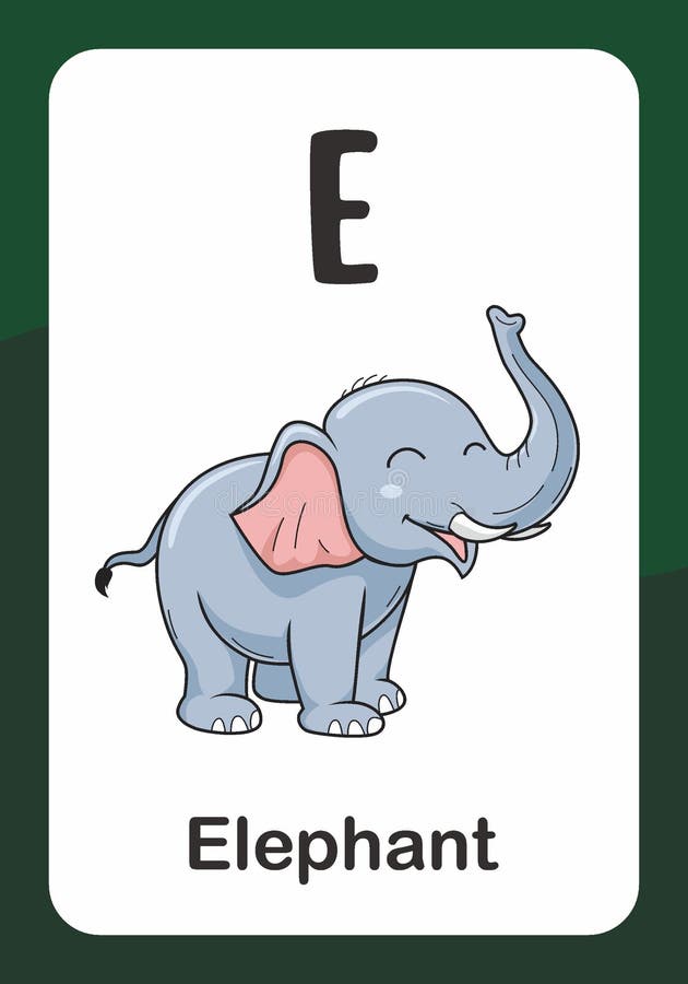 Animal Alphabet Flash Card - E for Elephant Stock Vector - Illustration ...