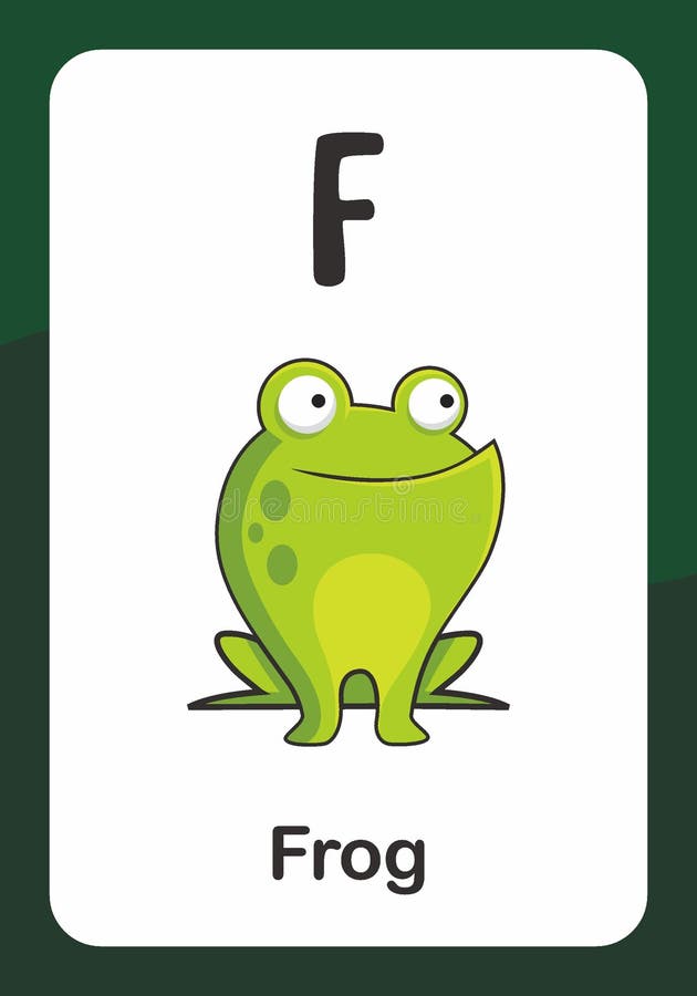 Animal Alphabet Flash Card - F for Frog Stock Vector - Illustration of ...
