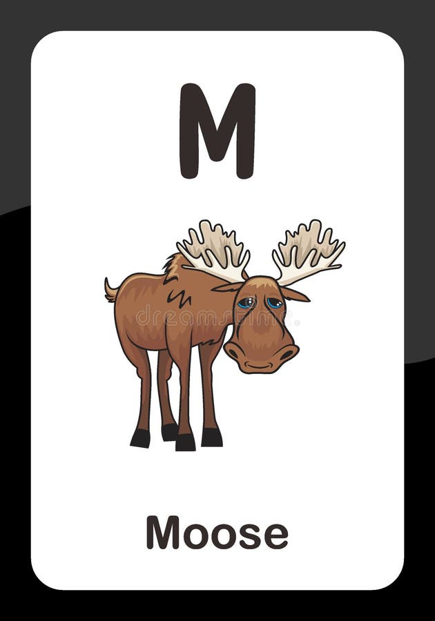 Animal Alphabet Flash Card - M for Moose Stock Vector - Illustration of ...