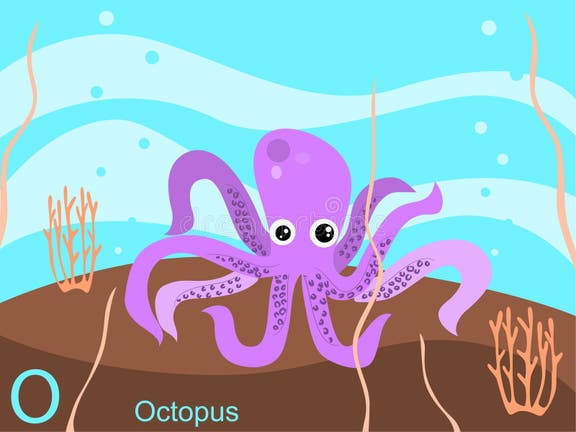 Animal Alphabet Flash Card, O for Octopus Stock Vector - Illustration ...