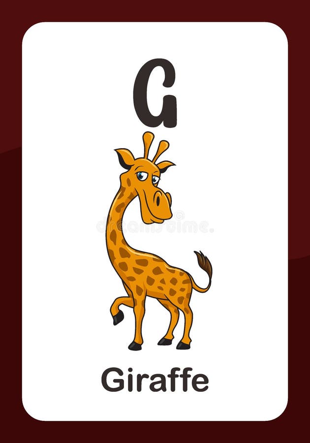Animal Alphabet Flashcard - G for Giraffe Stock Vector - Illustration ...