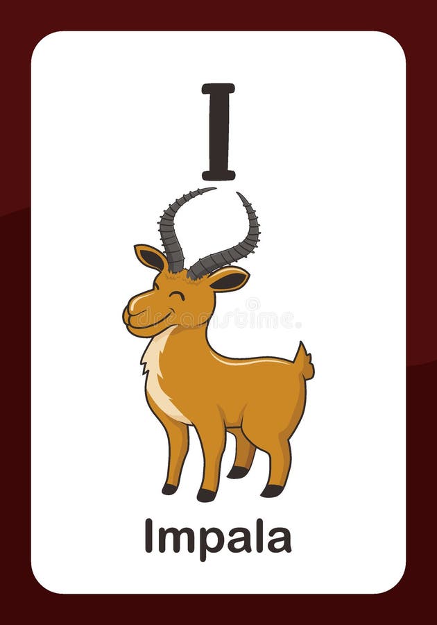 Antelope Flashcard Stock Illustrations – 15 Antelope Flashcard Stock ...