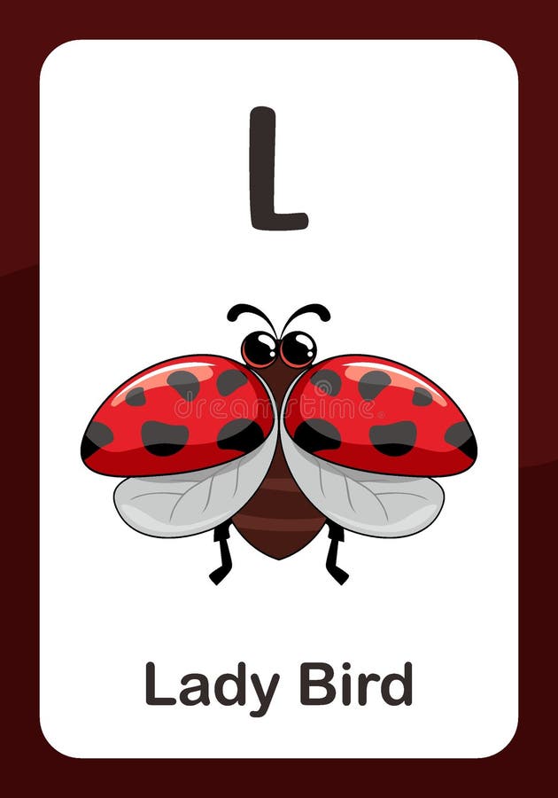 Alphabets Flashcard Stock Illustrations – 138 Alphabets Flashcard Stock ...