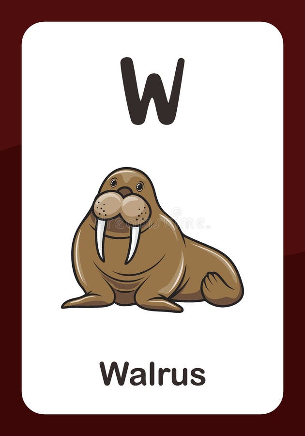 Alphabet W with Walrus Cartoon Stock Vector - Illustration of educate ...