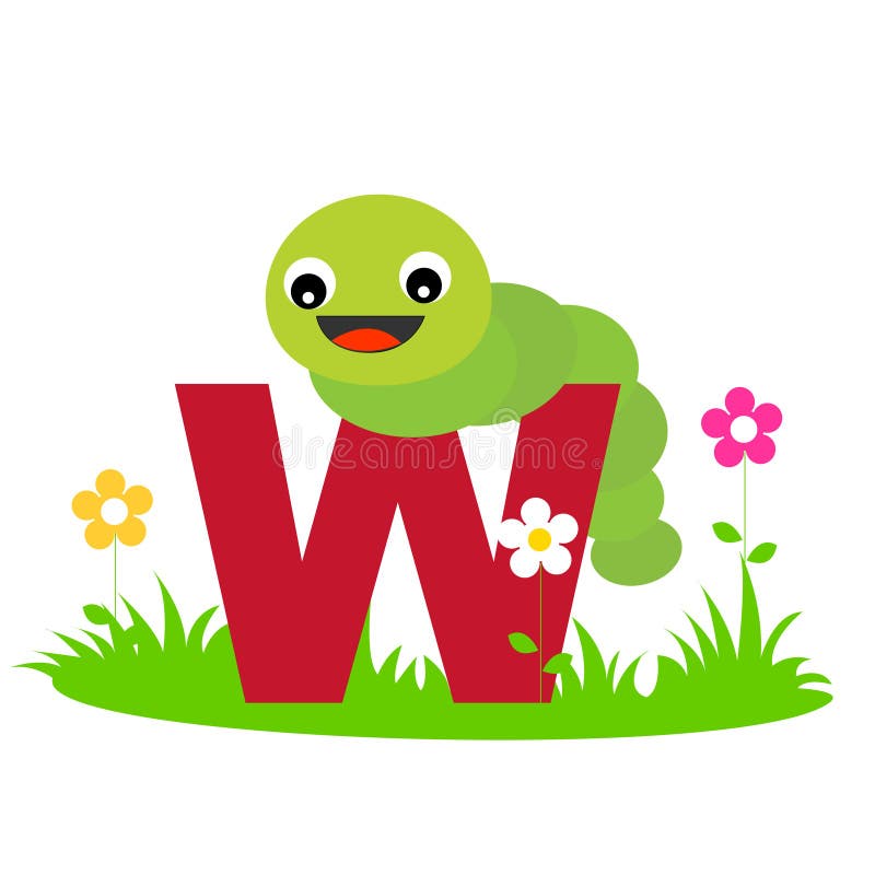Animal Alphabet W Worm Stock Illustrations – 66 Animal Alphabet W Worm ...