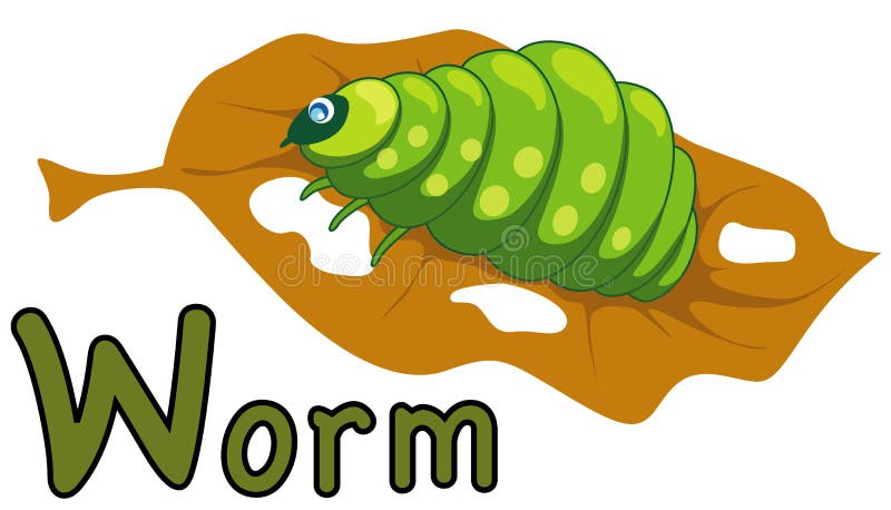 Animal alphabet W for worm stock vector. Illustration of happy - 13747375