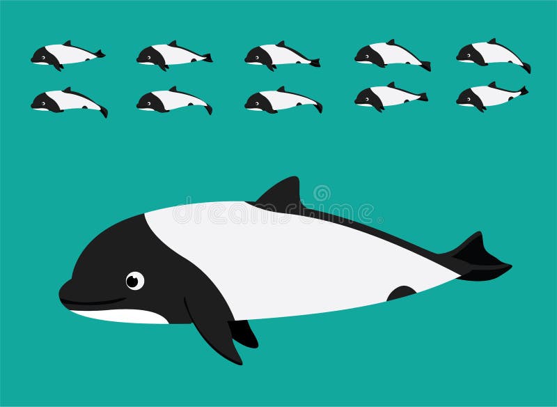 Animal Animation Commerson`s Dolphin Cartoon Vector Sequence Frame ...