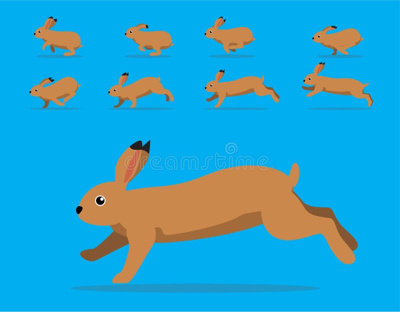 Animal Animation Sequence Rabbit Flemish Giant Cartoon Vector Stock ...
