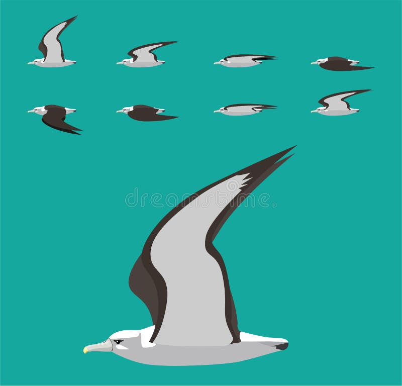 Albatross Bird Flying Animation Sequence Cartoon Vector Illustration ...