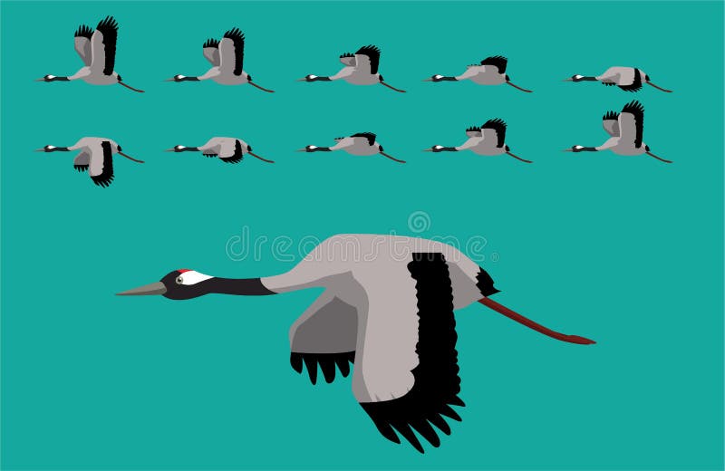 Animal Animation Sequence Common Crane Flying Cartoon Vector Stock ...