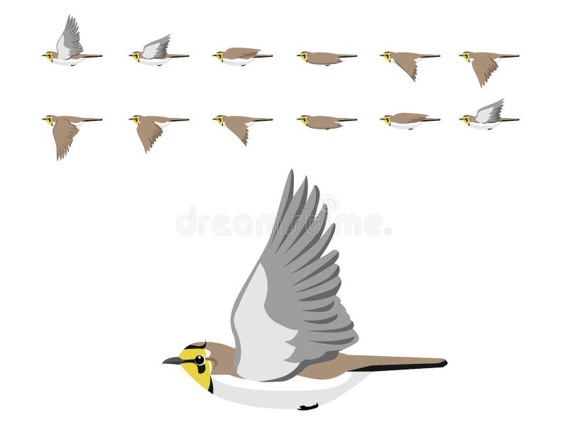 Bird Horned Lark Flying Animation Sequence Cartoon Vector Stock Vector ...