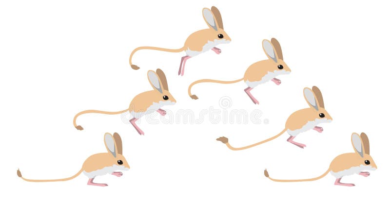 Jerboa Jumping Mouse Animation Sequence Cartoon Vector Illustration ...