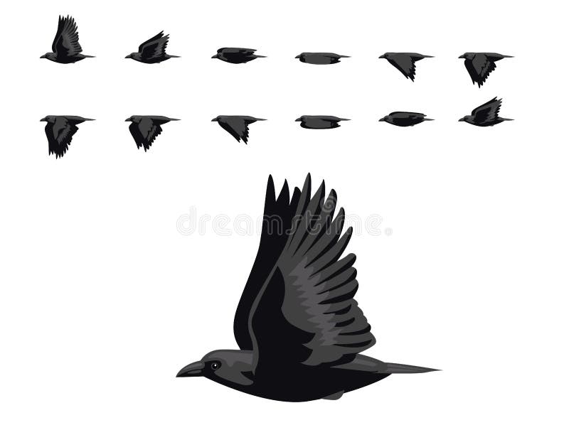 Raven Bird Flying Animation Sequence Cartoon Vector Stock Vector ...