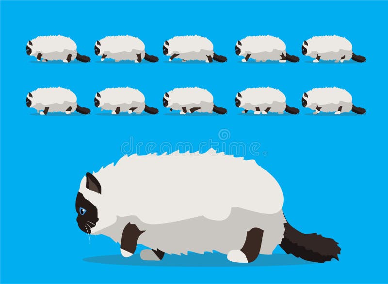 Animal Animation Sequence Cat Birman Cartoon Vector Stock Vector ...