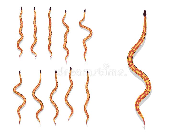 Snake Blood Python Animal Animation Sequence Cartoon Vector Stock ...