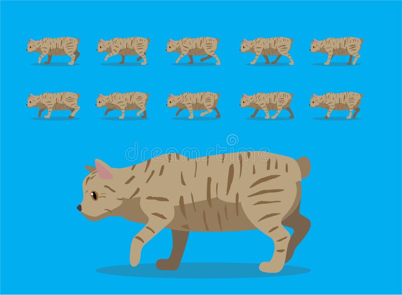 Animal Animation Sequence American Bobtail Cat Cartoon Vector Stock ...