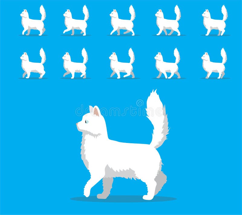 Animal Animation Sequence Cat Turkish Angora Cartoon Vector Stock ...