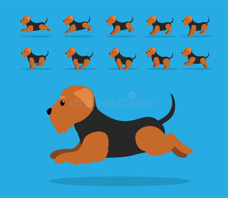 Animal Animation Sequence Dog Airedale Terrier Cartoon Vector Stock ...
