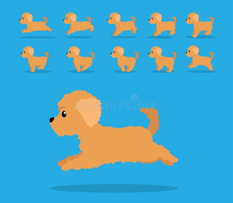 Animal Animation Sequence Dog Labradoodle Cartoon Vector Stock Vector ...