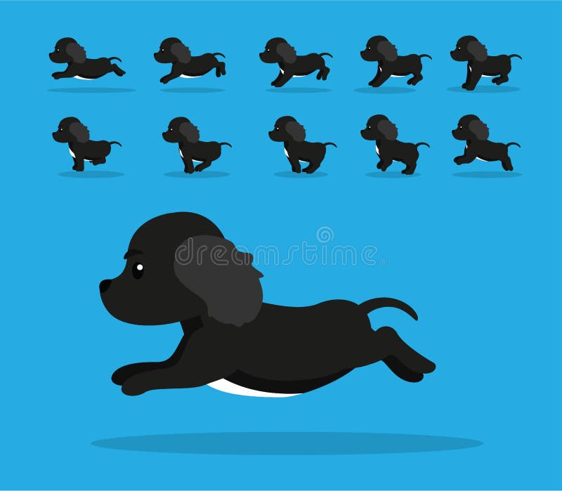 Animal Animation Sequence Dog Sprocker Spaniel Cartoon Vector Stock ...