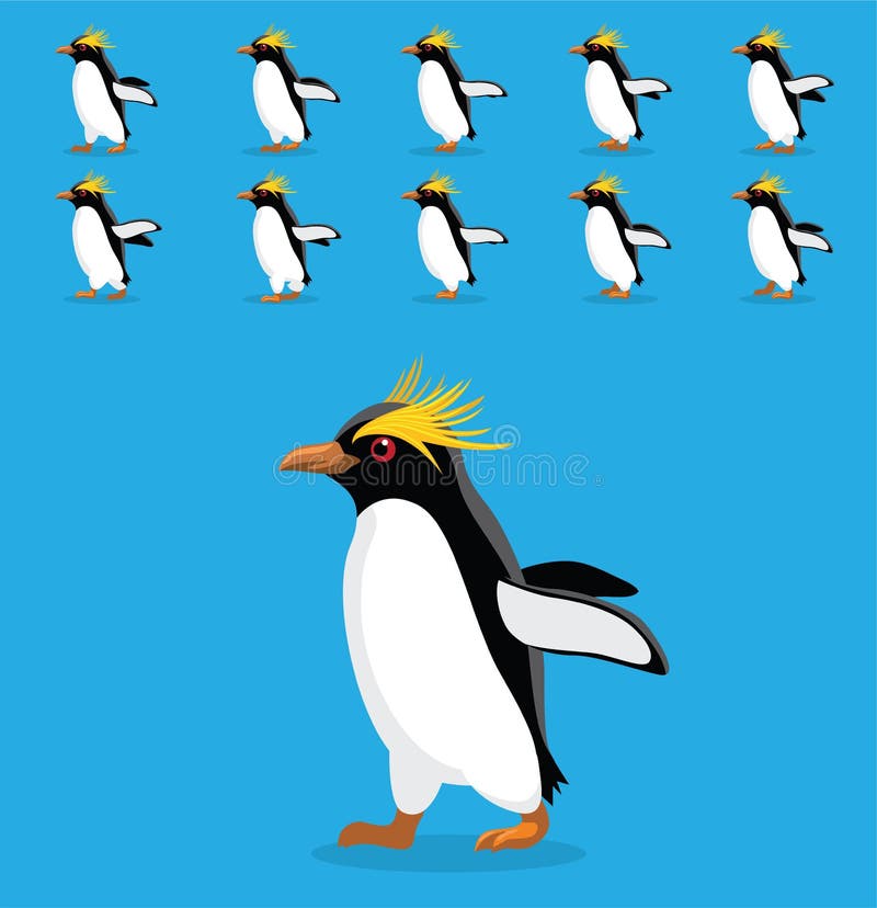 Macaroni Penguin Eudyptes Chrysolophus Stock Illustration ...