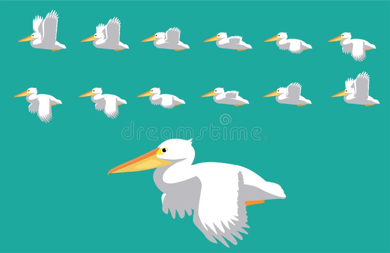Animal Animation Sequence Pelican Flying Cartoon Vector Stock Vector ...