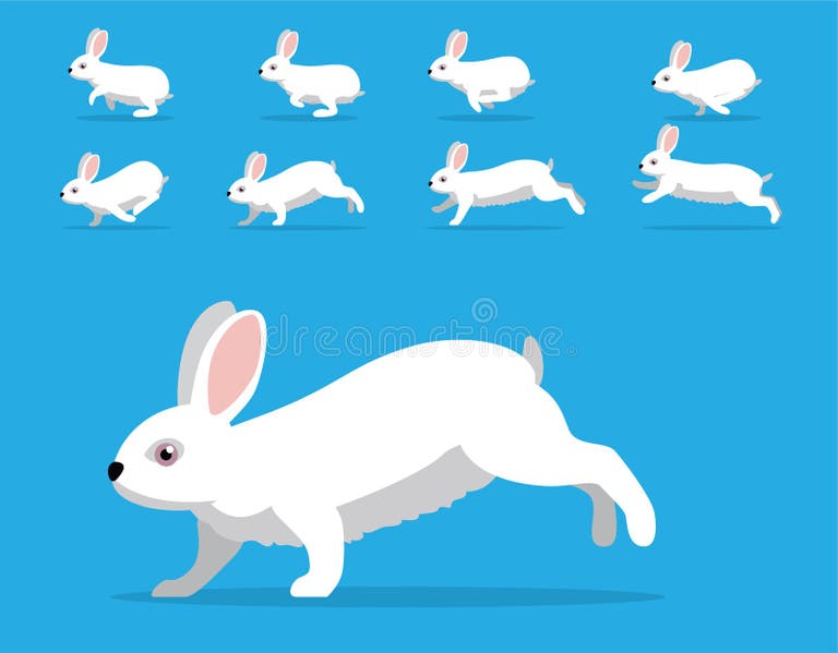 Animal Animation Sequence Rabbit Florida White Cartoon Vector Stock ...