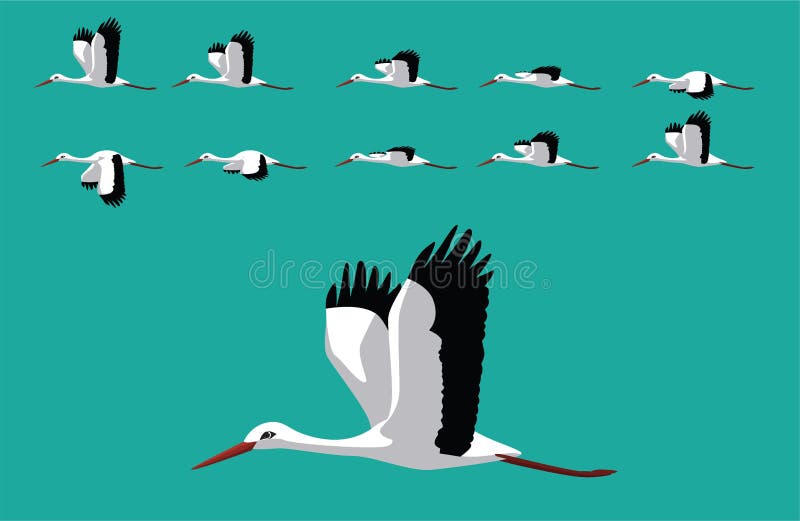 Animal Animation Sequence Stork Flying Cartoon Vector Stock Vector ...