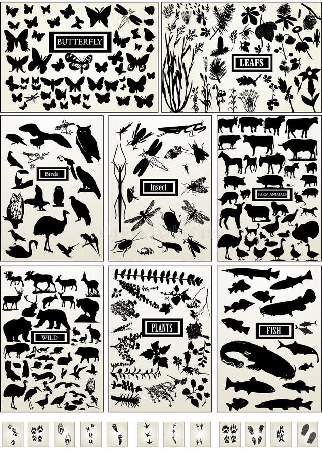Animal, Bird, Fish, Insect, Butterfly and Plant Stock Vector ...
