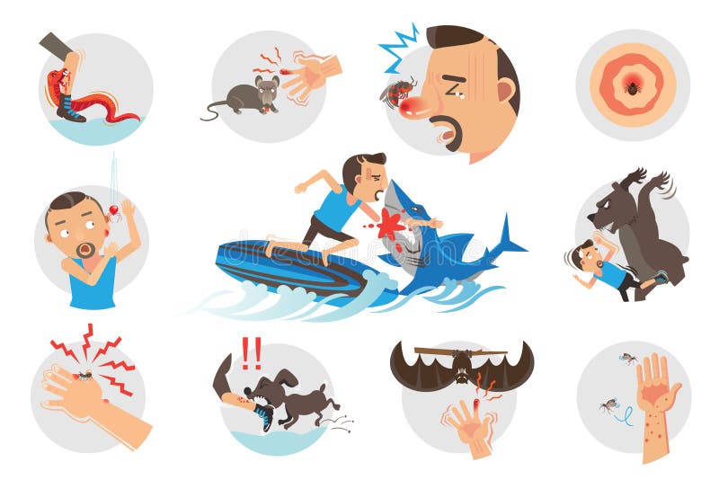 Animal Bites stock vector. Illustration of lyme, human - 76029651