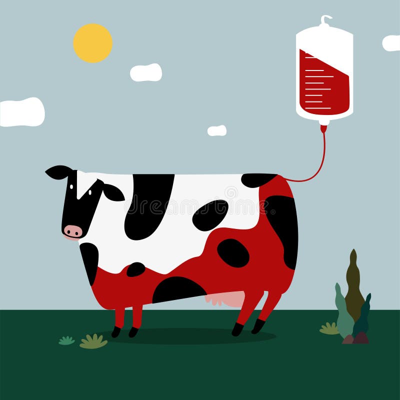 Animal Blood Donation Vector Illustration Stock Vector - Illustration ...