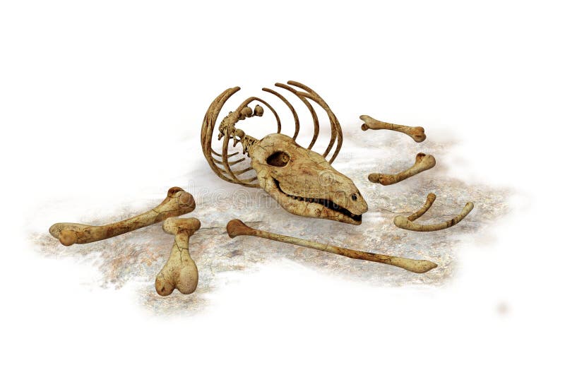 Animal bones stock illustration. Illustration of danger - 42088443